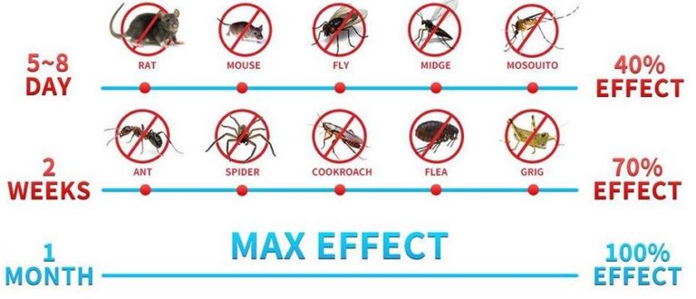 Pest Defense Review:Is It the Best Ultrasonic Pest Repeller in 2022 ...